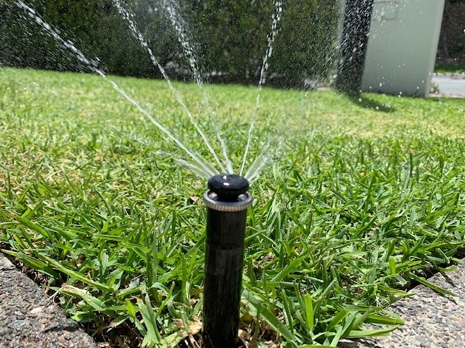 Reticulation Controllers : Everything You Need To Know - Cozy and ...